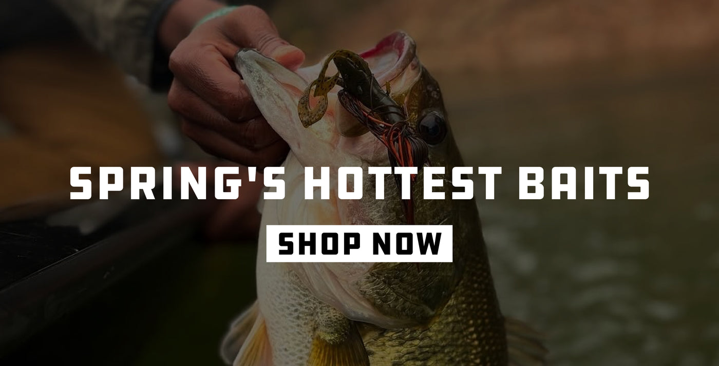 Best Fishing Bait - Premium Bait for Bass Fishing | Bizz Baits