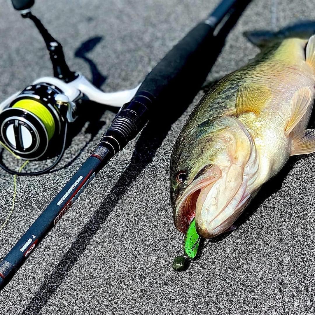 The Best Bass Fishing Baits and Lures for Freshwater Fishing | Bizz Ba ...