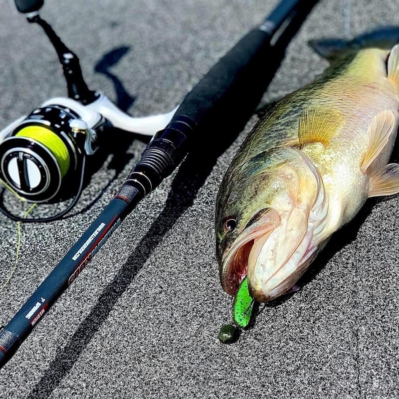 The Best Bass Fishing Baits and Lures for Freshwater Fishing | Bizz Ba – BizzBaits