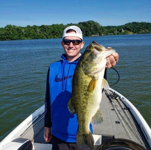 The Best Bass Fishing Baits and Lures for Freshwater Fishing | Bizz Ba ...