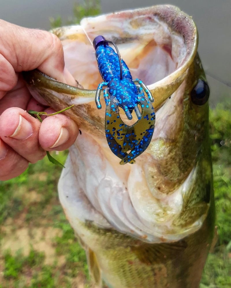 The Best Bass Fishing Baits and Lures for Freshwater Fishing | Bizz Ba#R#– BizzBaits