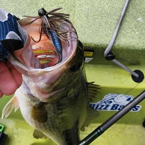 Best Baits for fishing and Lures for Freshwater Fishing – BizzBaits